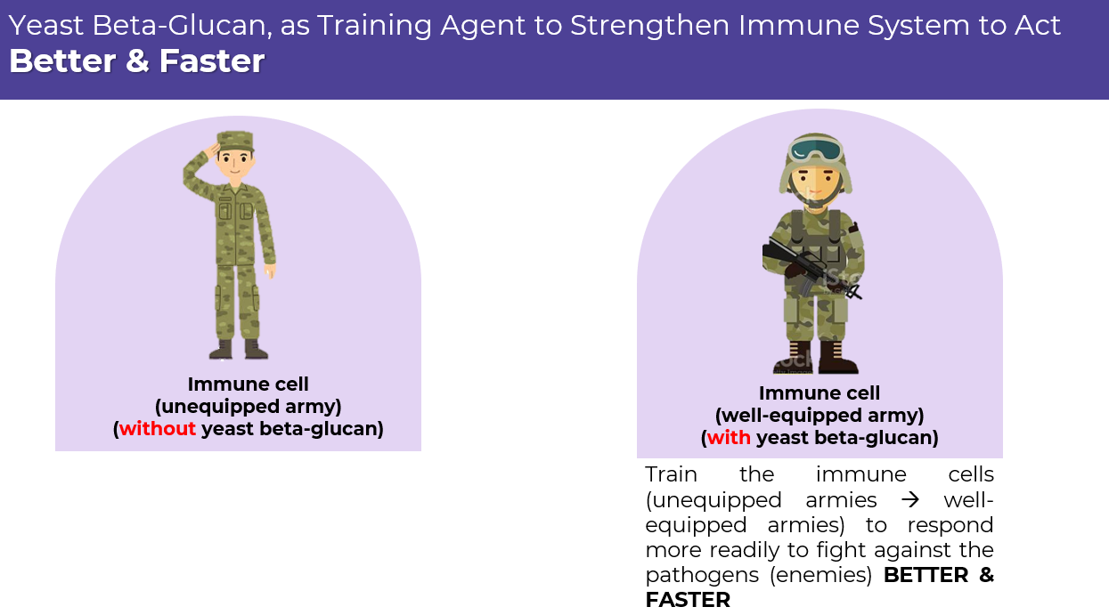 IMMUNO-3 - Biogrow Malaysia: Oat BG22, Probiotics, Eye Health ...